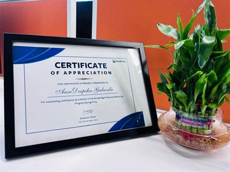 aasa deepika on linkedin certificateofappreciation
