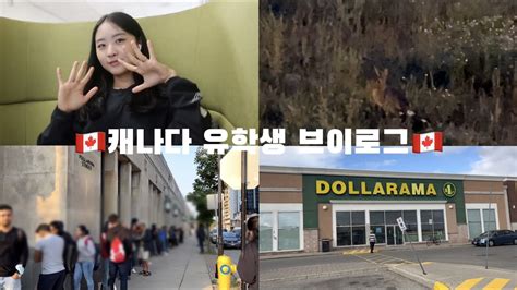 🇨🇦캐나다 유학생 브이로그🇨🇦 신넘버 발급 캐나다판 다이소 신용카드 발급 한국택배 Youtube