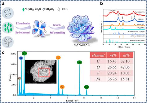 Schematic Illustration For The Synthesis Pathway Of 3d Flower Like Download Scientific Diagram