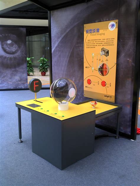 The Wonders Of Visual Imaging How Our Eyes Capture The World