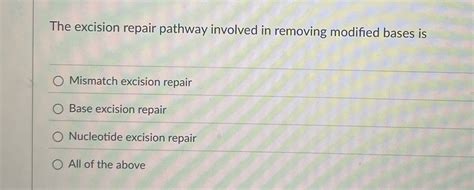 Solved The Excision Repair Pathway Involved In Removing