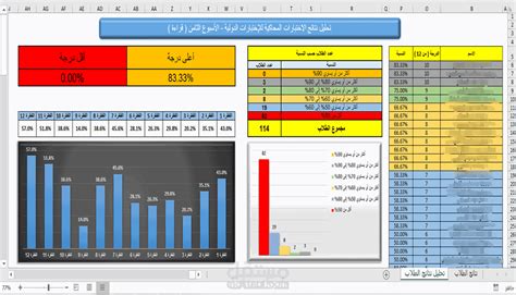 ادخال بيانات و تصميم قواعد بيانات على برنامج Excel مستقل