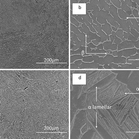 Microstructure Of A B Ti 6 4 Billet And C D Ti 6 2 4 6 β Forged Material Download Scientific