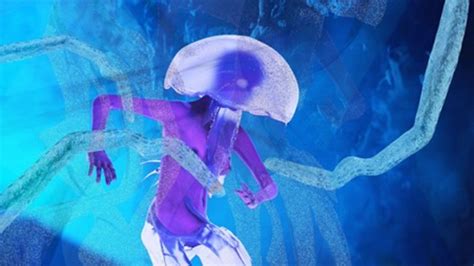 Molecular Sex And Polymorphic Sensibilities Heichi Magazine