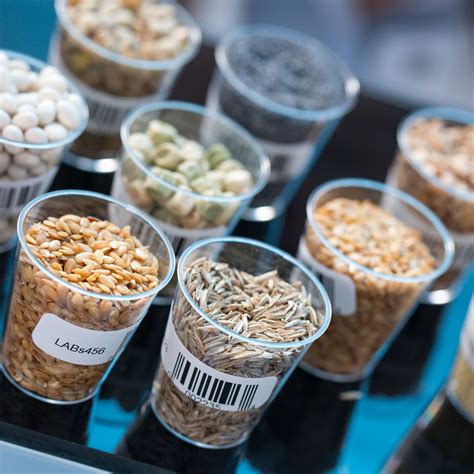 Agricultural Seed Sorting Field And Vegetable Bühler Group