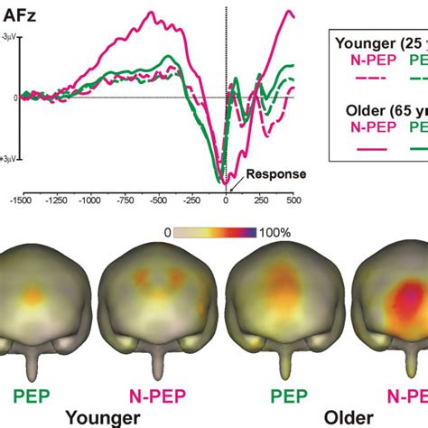 Pdf Benefits Of Physical Exercise On The Aging Brain The Role Of The Prefrontal Cortex