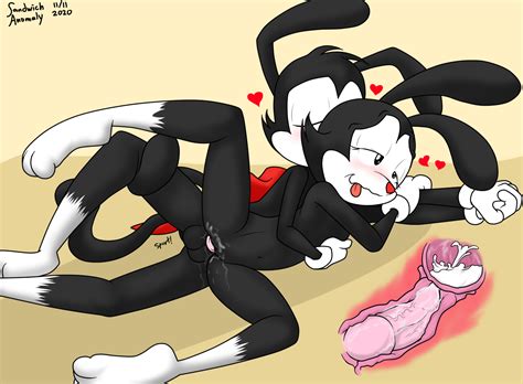 Rule 34 Animaniacs Anthro Black Body Black Fur Blush Bodily Fluids Brother Brother And Sister
