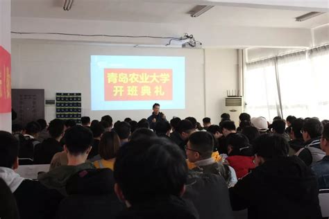 青岛java培训 ui培训 html5 web培训 中享思途it培训【官网】