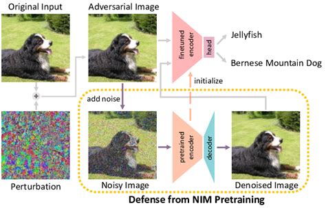 An Illustration Of Using Noisy Image Modeling Nim Pretrained Model To Download Scientific