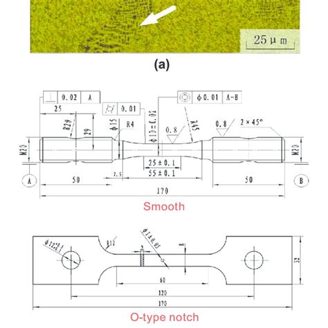 Test Specimens A Microstructure And B Geometries And Dimensions Download Scientific Diagram