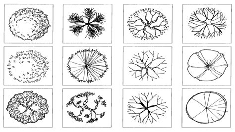 Landscape Architecture Plant Symbols Landscape Architecture Modern