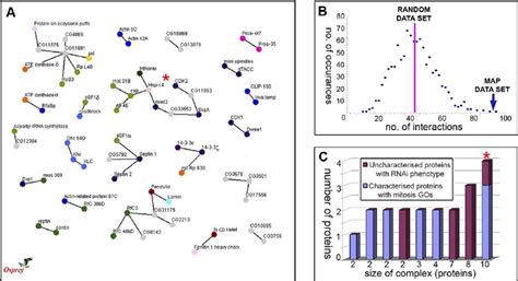 Pairwise Interactions Of Identified Maps A A Total Of 66 Of The 270