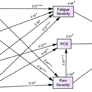 Final Path Model Error Terms Have Been Removed Pain Catastrophizing Download Scientific