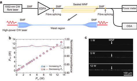 High Power Optical Continuous Wave Waveguiding In A Silica Micro
