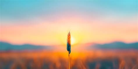 Visual Representation Of Rising Energy Costs And Support For Sustainable Energy Initiatives