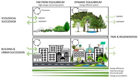 Ecologically Regenerative Building Systems Through Exergy Efficiency