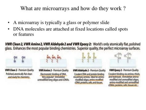 Ppt Microarray Introduction Powerpoint Presentation Id 1100698