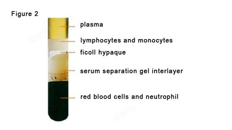 Concepts And Applications Of Prp Cpt And Prf Concepts And Applications Of Prp Cpt And Prf