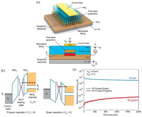 Electronics Special Issue Two Dimensional Electronics And Optoelectronics