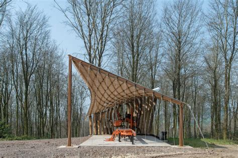 AA Design Make Students Test The Limits Of Timber In Tensile Woodland
