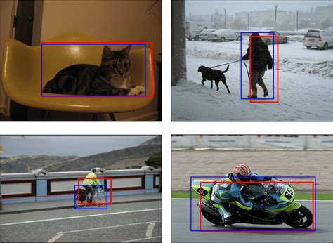 Further Examples Of Successful Object Localization Maximal Subwindow