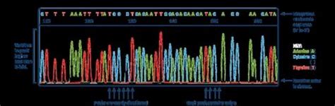 Dna Sequencing Analysis Services At ₹ 2300sample In Surat Id 2853650939455