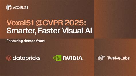 Streamline Your Visual Data Discovery With Fiftyone Data Lens Voxel51