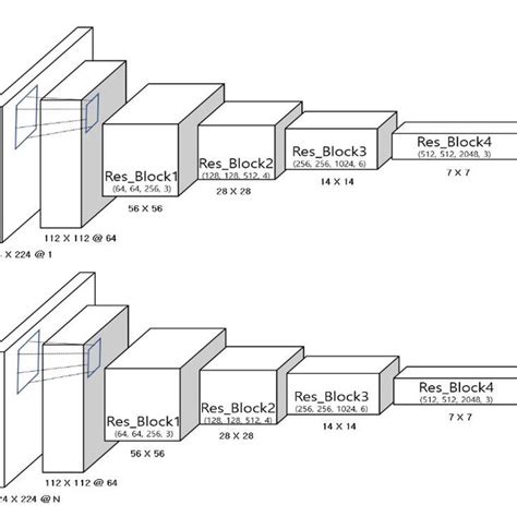Single Stream Network Structure Based On Resnet50 Download Scientific Diagram