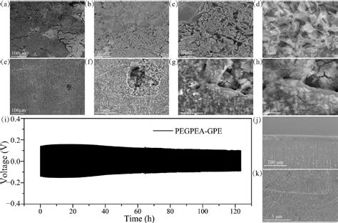 Figure 1 From A Brief Review Of Gel Polymer Electrolytes Using In Situ