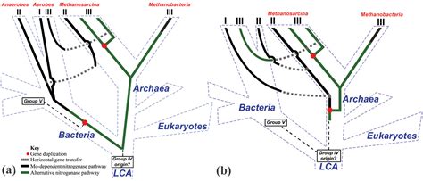 Siefert Lab At Rice University Nitrogen Fixation