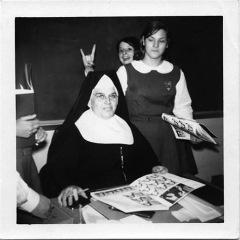 Le Sexe Qui Parle JungleKey Fr Wiki