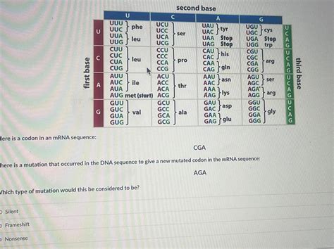 [answered] First Base O Silent U O Frameshift C Here Is A Codon In An Kunduz