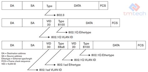 VLAN VÀ Q IN Q