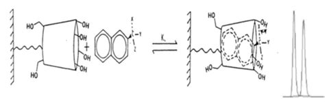 Secrets Of Chiral Gas Chromatography Chiral Gc How To Understand