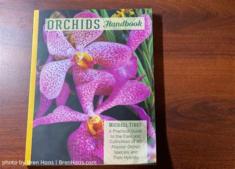 The Orchid Handbook Book Review Bren Haas