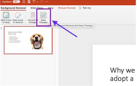 guide on how to remove background from picture in powerpoint