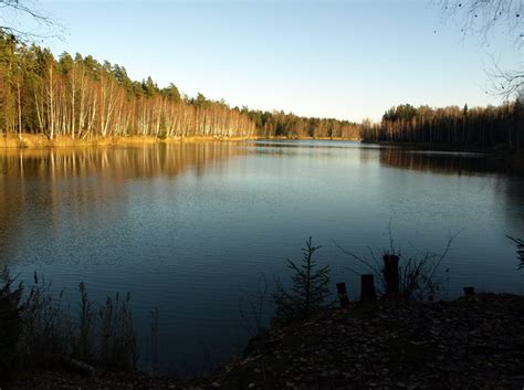 Берег светлый и темный. Северное озеро, Черноголовка, осень 2011