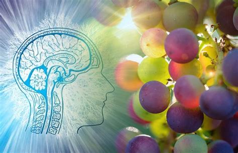 Resveratrol May Improve Cognitive Performance In Postmenopausal Women