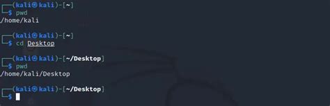 Comandos BÁsicos Do Kali Linux Tutorial Kalilinux