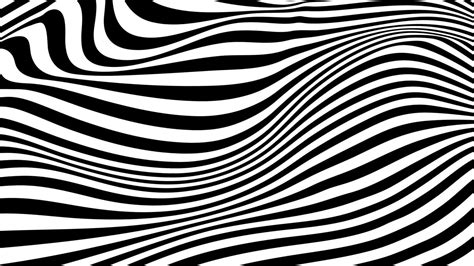 Black And White Wave Stripe Optical Abstract Design Vector Background Curved Linesvector