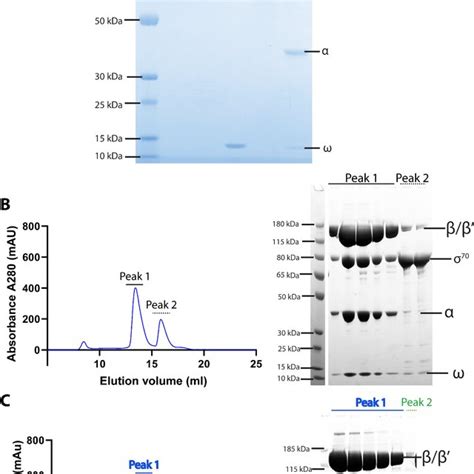 Figure Supplement 1 Cryoem Data Quality And Image Processing Download Scientific Diagram