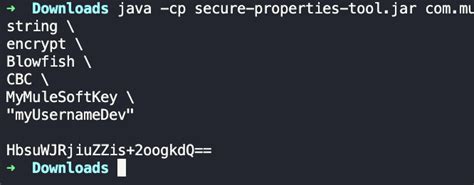 Secure And Encrypt Properties In Anypoint Code Builder Mulesoft Blog