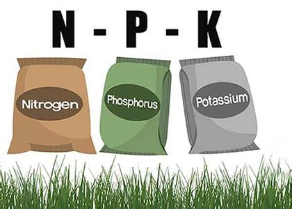 NPK Fertilizer Production Line | Granulation | Economical Process