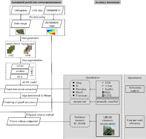 Figure 2 From A Robust Deep Learning Approach For The Quantitative