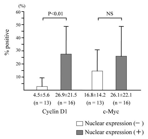 Relationship Between Subcellular Localization Of β Catenin And