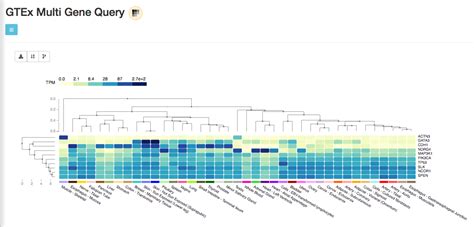 Gene Expression