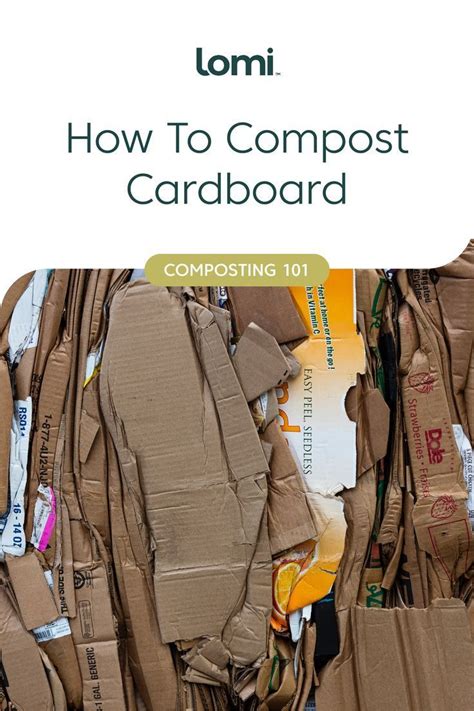 Best 13 How To Shred Cardboard For Compost Artofit