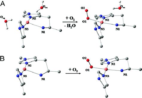 Representations Of Dft Optimized Structures Of Reduced And O 2bound