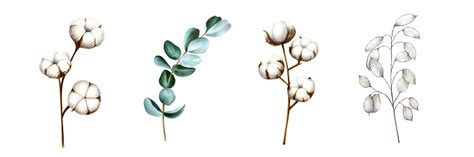 유칼립투스 목화 꽃 루나리아 가지가 있는 사실적인 세트 수채화 손으로 그린 Boho 식물은 투명한 배경에 고립되어 있습니다 크리스마스 겨울 결혼식 일러스트 디자이너 초대장