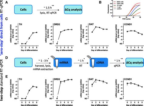 Comparison Of Neuronal Marker Expression Via Zero Step Download